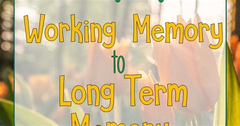 Twelve Strategies To Get From Working Memory To Long Term Memory