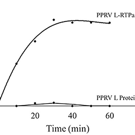 Rna Triphosphatase Activity Of Pprv Rtpase Domain γ 32p Atp Labelled Download Scientific