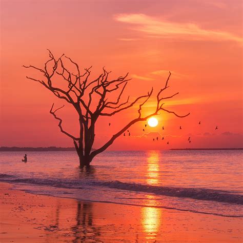 Birds Sunset Wallpapers Top Free Birds Sunset Backgrounds