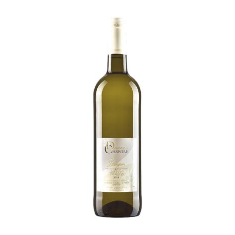Sauvignon - Vino Vélo