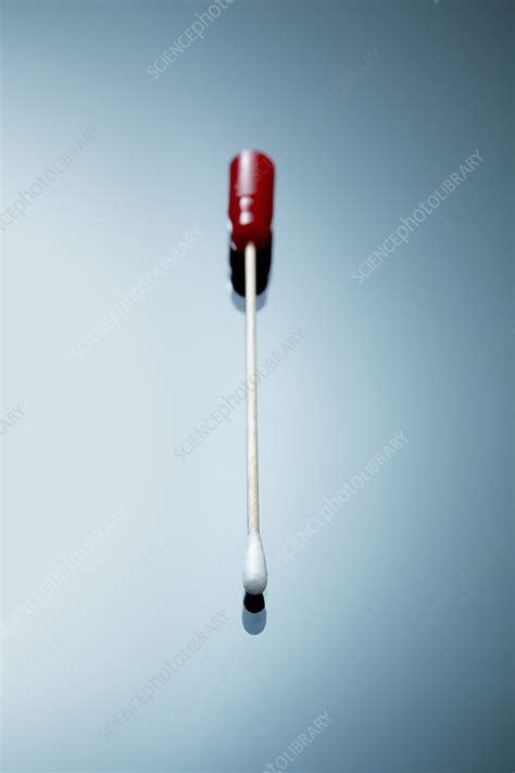 Sampling Swab Stock Image M Science Photo Library