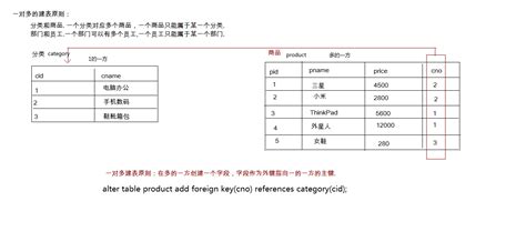 第一阶段：前端开发 mysql——表与表之间的关系 sunnoi 博客园
