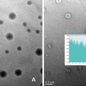 TEM Images Of A Coreshell Structures And B Hollow Shell Structures And Download Scientific