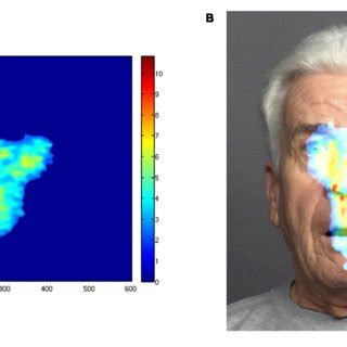 Pixel Wise Statistical Map Showing The Number Of Fixations In The Download Scientific Diagram