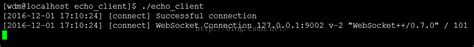 Websocket使用（c环境）（一） Websocket库的安装与使用c Websocket库 Csdn博客