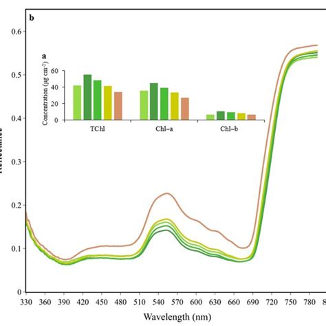 Chlorophyll Concentrations And Flag Leaf Reflectance Spectra Of Download Scientific Diagram