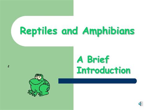 Reptiles And Amphibians Ppt At Sean Chaffey Blog