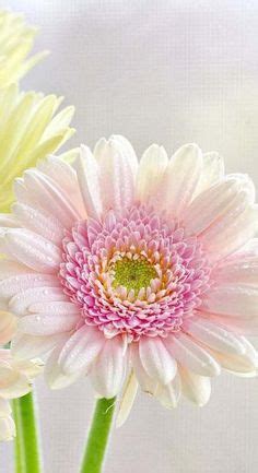 ideas de Hojas para imprimir hojas para imprimir decoración de unas imprimir sobres