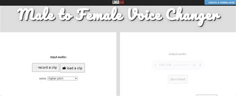 Top 9 Male To Female Voice Changers For PC Online Mobile