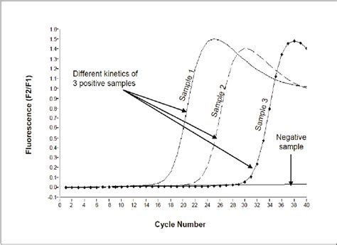 Example Of Amplification Curves Who Laboratory Protocol Download Scientific Diagram