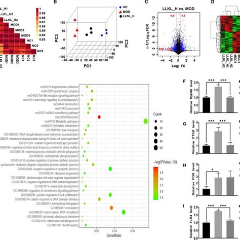 transcriptomic profiling of the liver a pcoa between the nc mod and