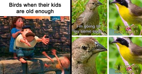 Bird Watching Memes An Update My “extremely Accurate Birds” 2023