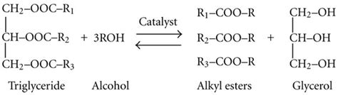 Preparation And Characterization Of Shell Based Cao Catalysts For Ultrasonication Assisted