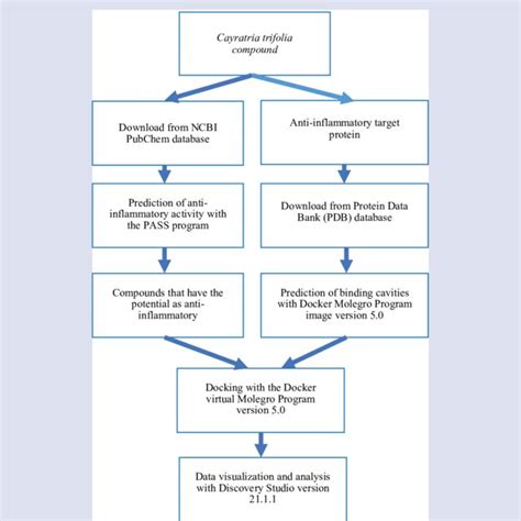 In Silico Analysis Flowchart Download Scientific Diagram