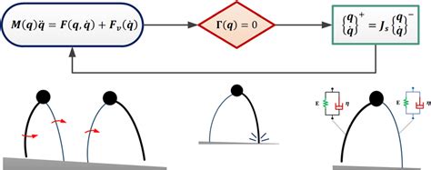 Hybrid Dynamics Of The Flexible Passive Walker With Viscoelastic Legs Download Scientific Diagram