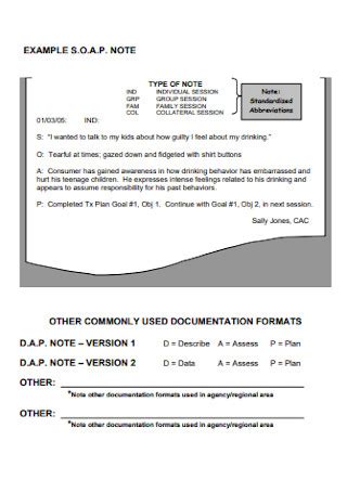 8 SAMPLE DAP Notes In PDF MS Word