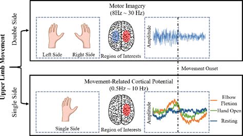Figure 1 From Multi Class Classification Of Upper Limb Movements With Filter Bank Task Related