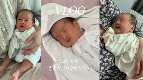 육아vlog 산후도우미 없이 신생아 육아생후2~4주 아기 신생아 목욕 모유수유 배냇짓 하는 아기 Youtube