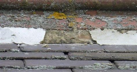 Rogue Trader Conned Consett 81 Year Old Out Of Hundreds Of Pounds For