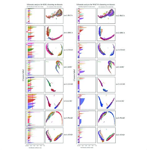 Silhouette Coefficient Analysis For The Wgcna And Kisl Algorithms The