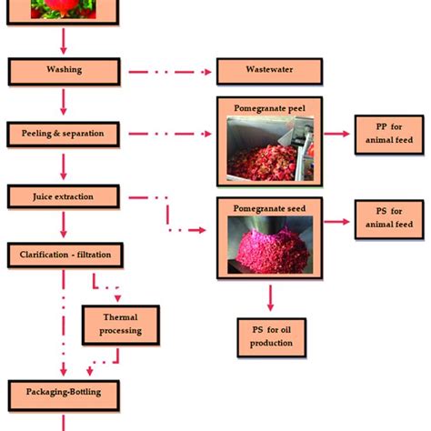 Pdf Technologies And Extraction Methods Of Polyphenolic Compounds Derived From Pomegranate