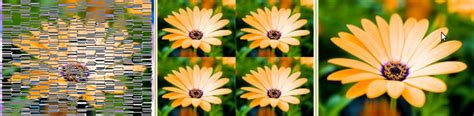 Gimp Filters And Effects