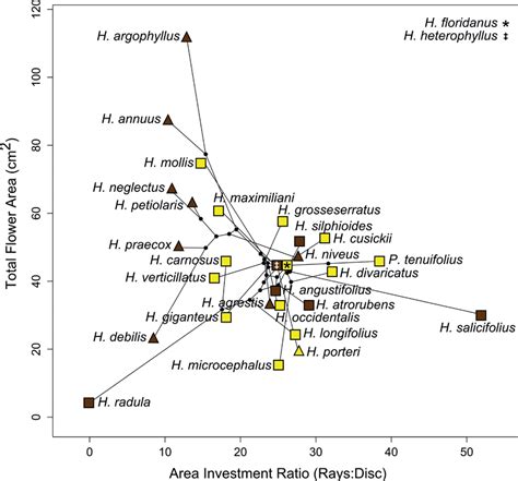 Diversification Of Helianthus In Floral Trait Space Total Flower Area