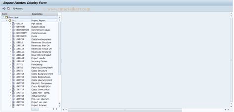 CJE SAP Tcode Display Project Report Layout