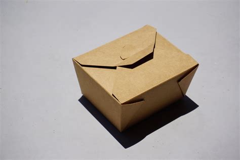 Disposable Plastic Rectangular Containers With Lids Included — This