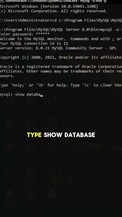 5 Essential Command Mysql Youtube