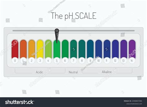 ph scale. ph scale infographic. pH value scale - Royalty Free Stock ...