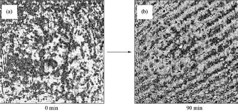 patterns of light intensity distribution at the fpi output plane before