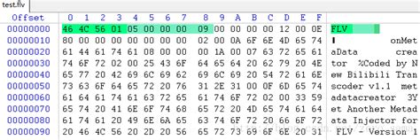 Rtmp视频流格式解析 Csdn博客