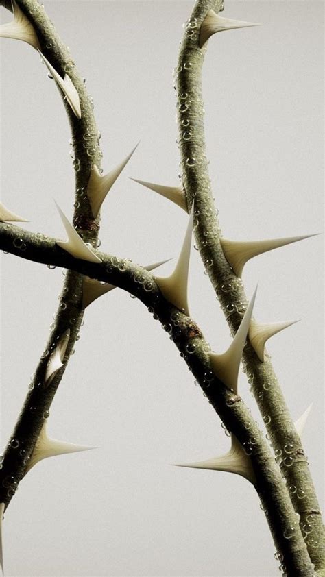 140 Backroung ý Tưởng Trong 2025 Nghệ Thuật Nhật Ký Nghệ Thuật ảnh ấn Tượng