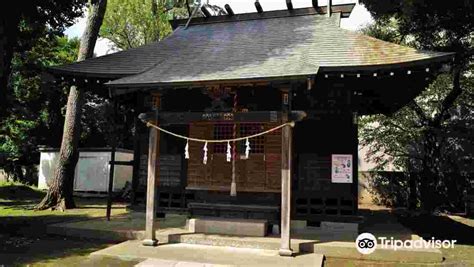 가마쿠라 궁 쇼난 해안 에노시마 가마쿠라 고교 앞 가마쿠라 대불 쓰루가오카 하치만구 일일 투어 [가마쿠라 투어