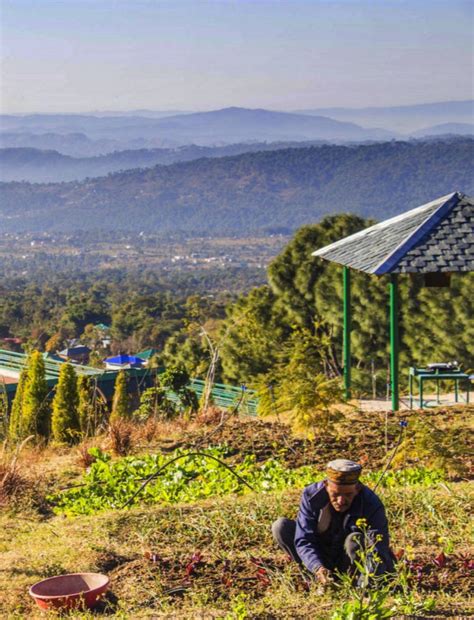 Corporate Retreats By Rakkh Resort