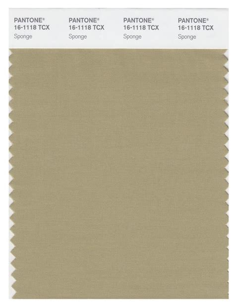 Pantone Smart 16 1118 Tcx Color Swatch Card Sponge Magazine Cafe