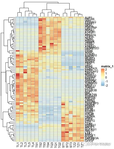 热图4：complexheatmap画复杂热图行列注释 知乎