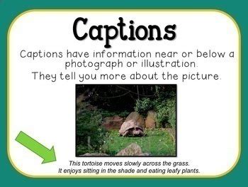 Nonfiction Text Feature Powerpoint By Curious Jones TpT