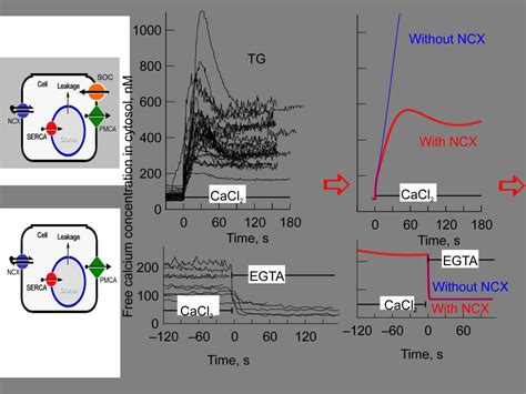 PPT SOC PowerPoint Presentation Free Download ID