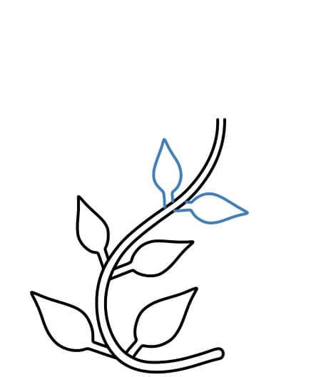 step 6