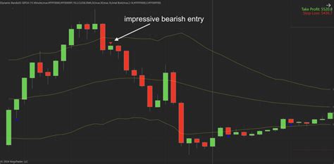 Dynamic Bands Nt8 Indicator Craft Indicators