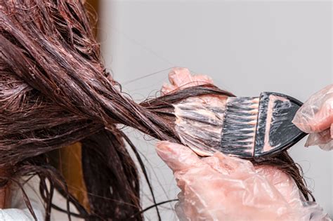 전문 미용사 클라이언트 머리에 염색 브러쉬를 적용 근접 촬영입니다 갈색에 대한 스톡 사진 및 기타 이미지 갈색 고객 다중 색상 Istock