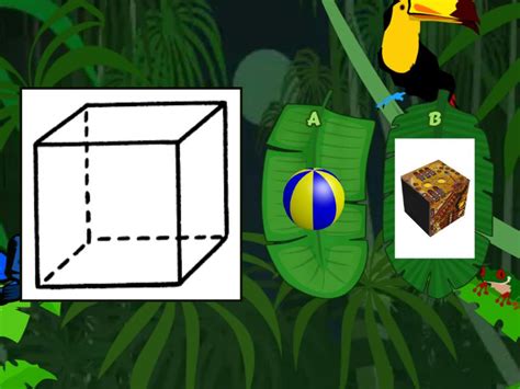 3d Shapes Quiz
