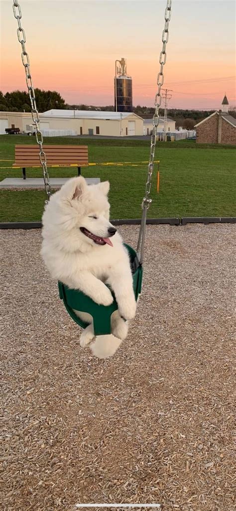 Ascom Electric Inc On Linkedin Ascom Electrician Electricalcontractor