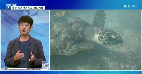 대담 바다 환경의 지표 바다거북제주 해안 문제를 짚다