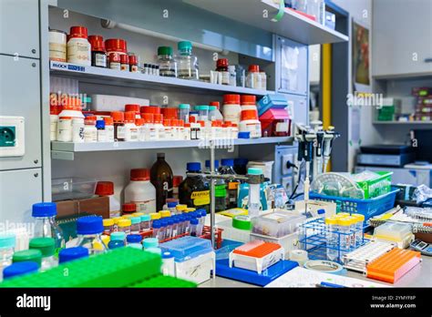 organized chemical reagents and containers on laboratory shelving