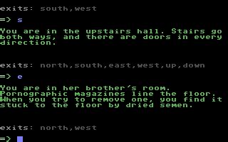 Another Sex Adventure Commodore 64 Game Download Disk Tape Music