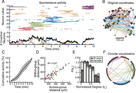 Spontaneous Dynamics Of Neuronal Ensembles In Control Mouse Motor Download Scientific Diagram