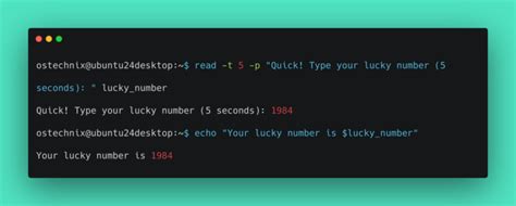 Create Interactive Bash Scripts With Yes No Cancel Prompt OSTechNix
